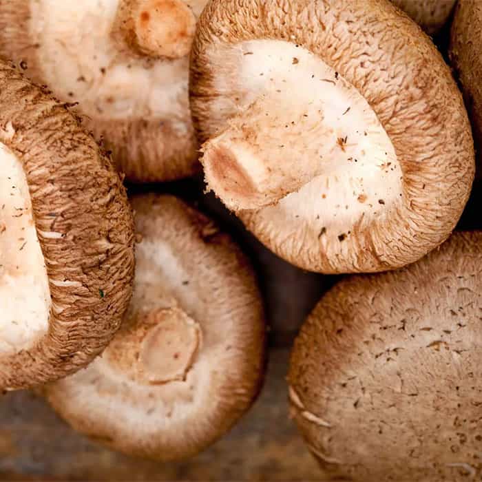 Šitaka (sveža) - Domaće iz Srbije